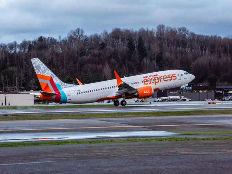 Air India Express announces Army Day sale: Check offer, promo code ...