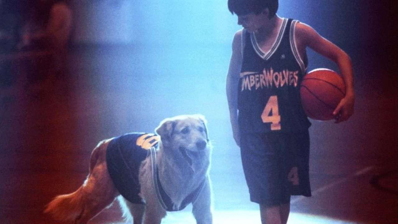 Le film Air Bud doit son titre à l’indisponibilité du premier choix du ...
