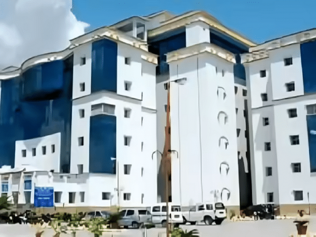 The young woman had two private parts, two uteruses, and no urinary ...