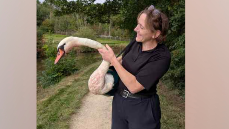 Animal admissions double at wildlife rescue centre