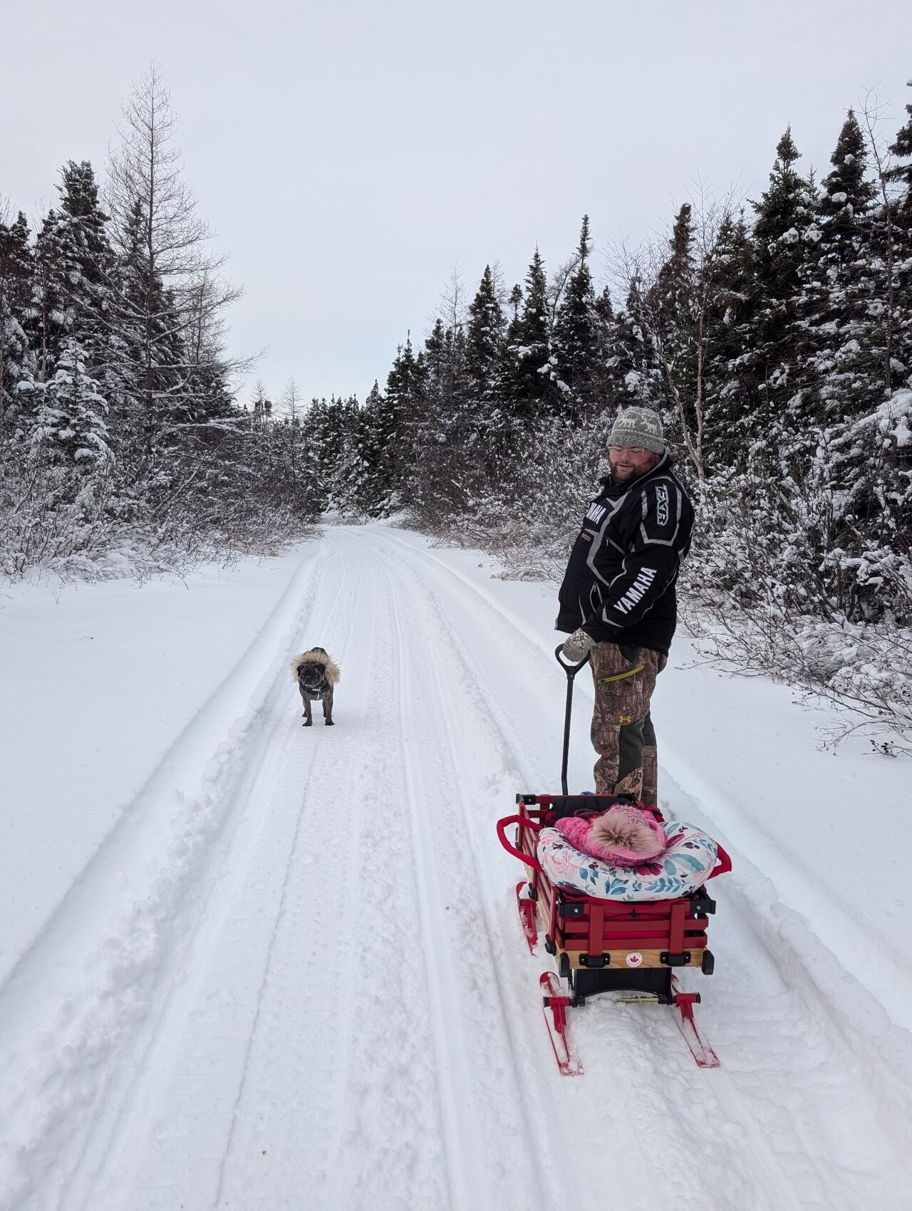 Pet owners call for trapping signage, regulation near community trails