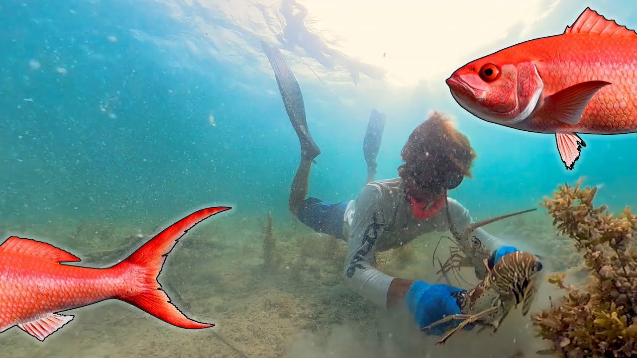 Deep drop fishing at 1,000 feet – wild catch & cook