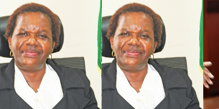 Linnet Ndolo: The justice who rose from human rights defender to Court ...