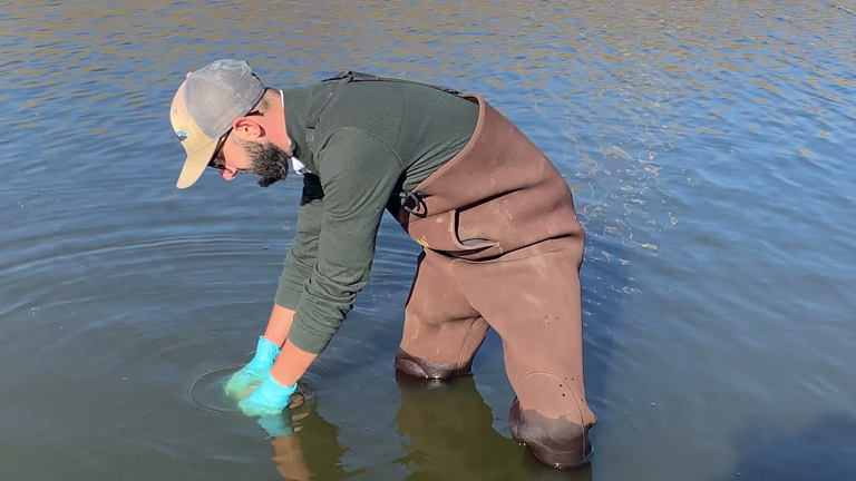 Utah scientists discover brand-new species in Great Salt Lake—only 3 ...