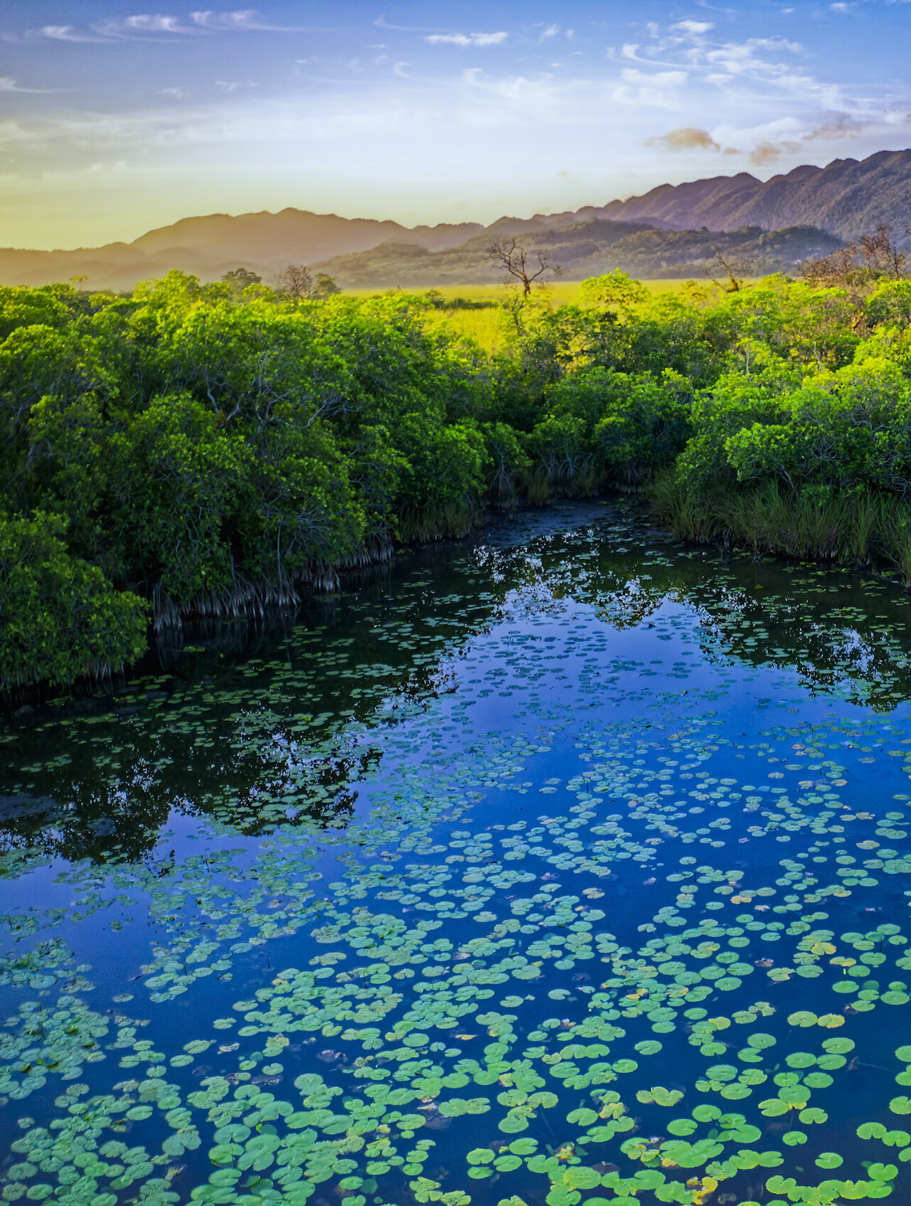 Ocean impacts nearly double economic cost of climate change, study finds