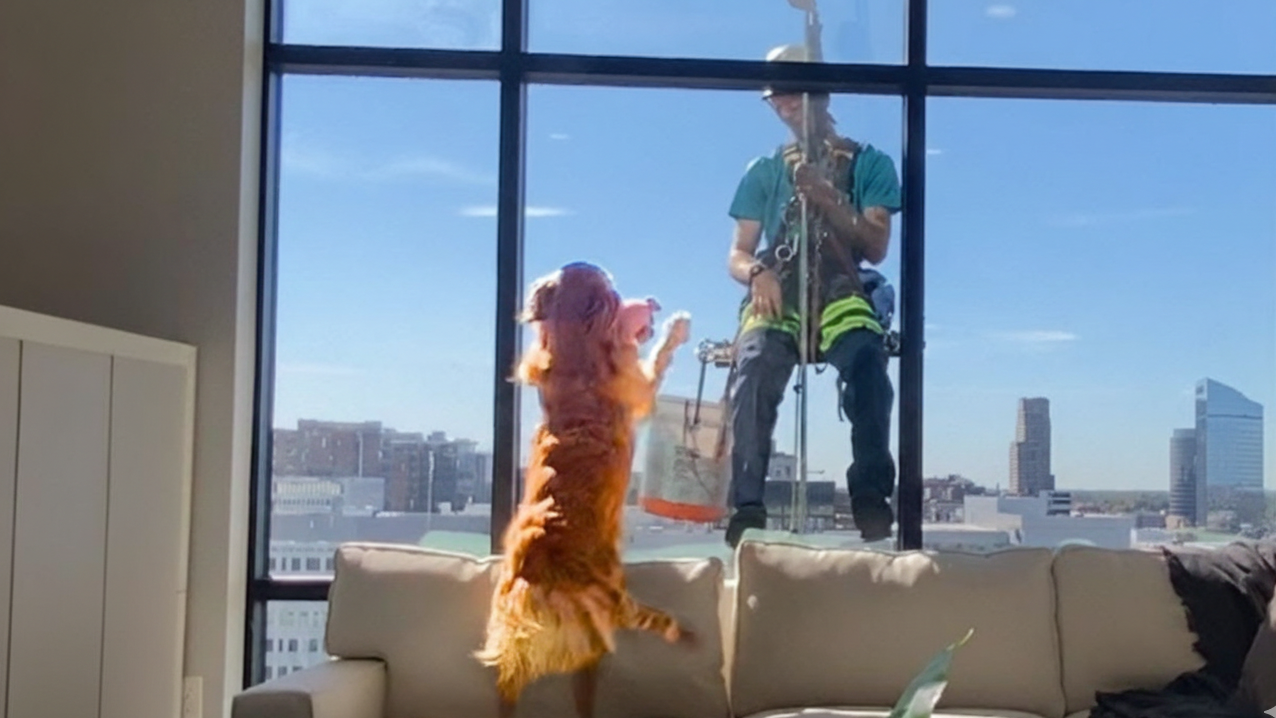 Dog thinks window washer is his new bestie - and he's not wrong