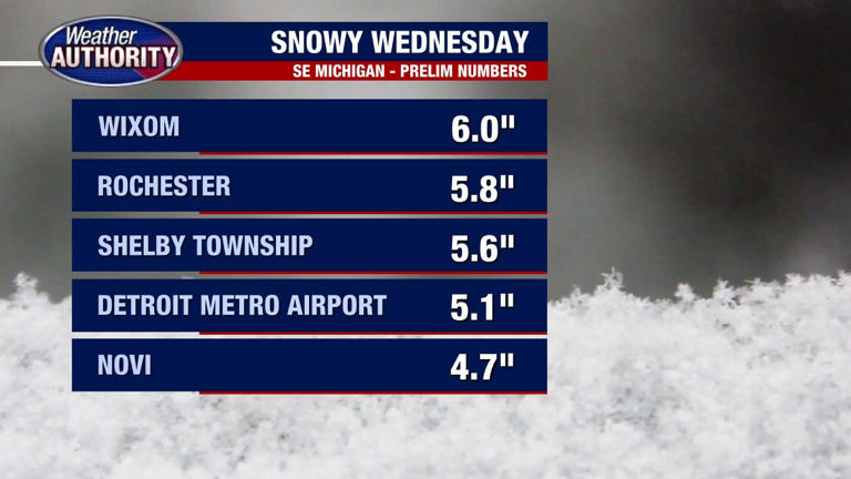 Southeast Michigan snow totals: How much fell Wednesday into Thursday
