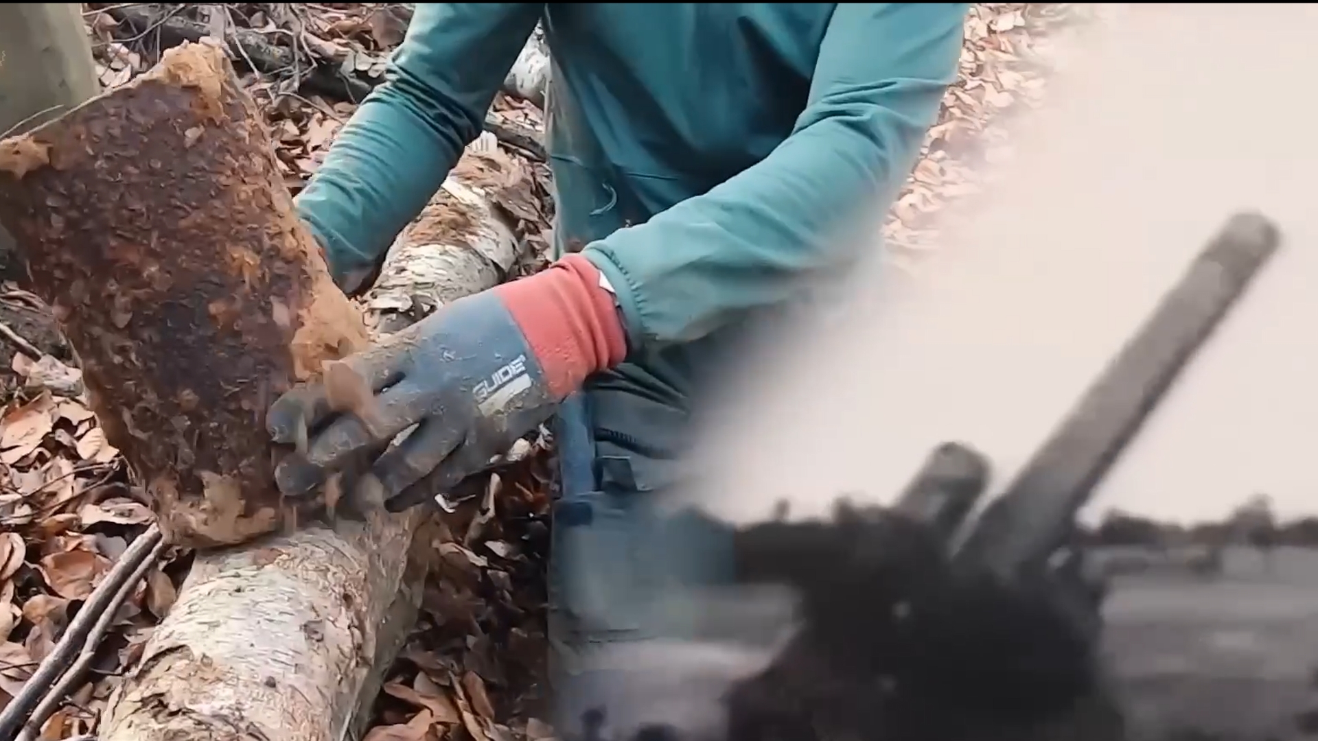 Forgotten WWII artillery strongpoint resurfaces after eighty years