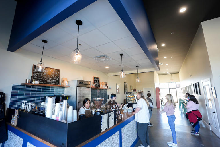 Fancy cat cafe in Southaven a 'purr-fect' spot for fans of felines