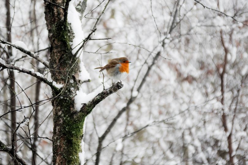 Met Office names dates UK could see snow in 'battle between Atlantic ...