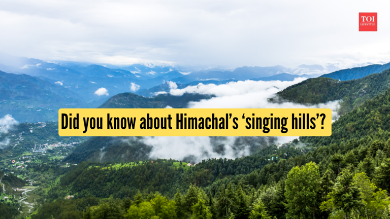 Did you know about Himachal’s ‘singing hills’? Here’s where to find them