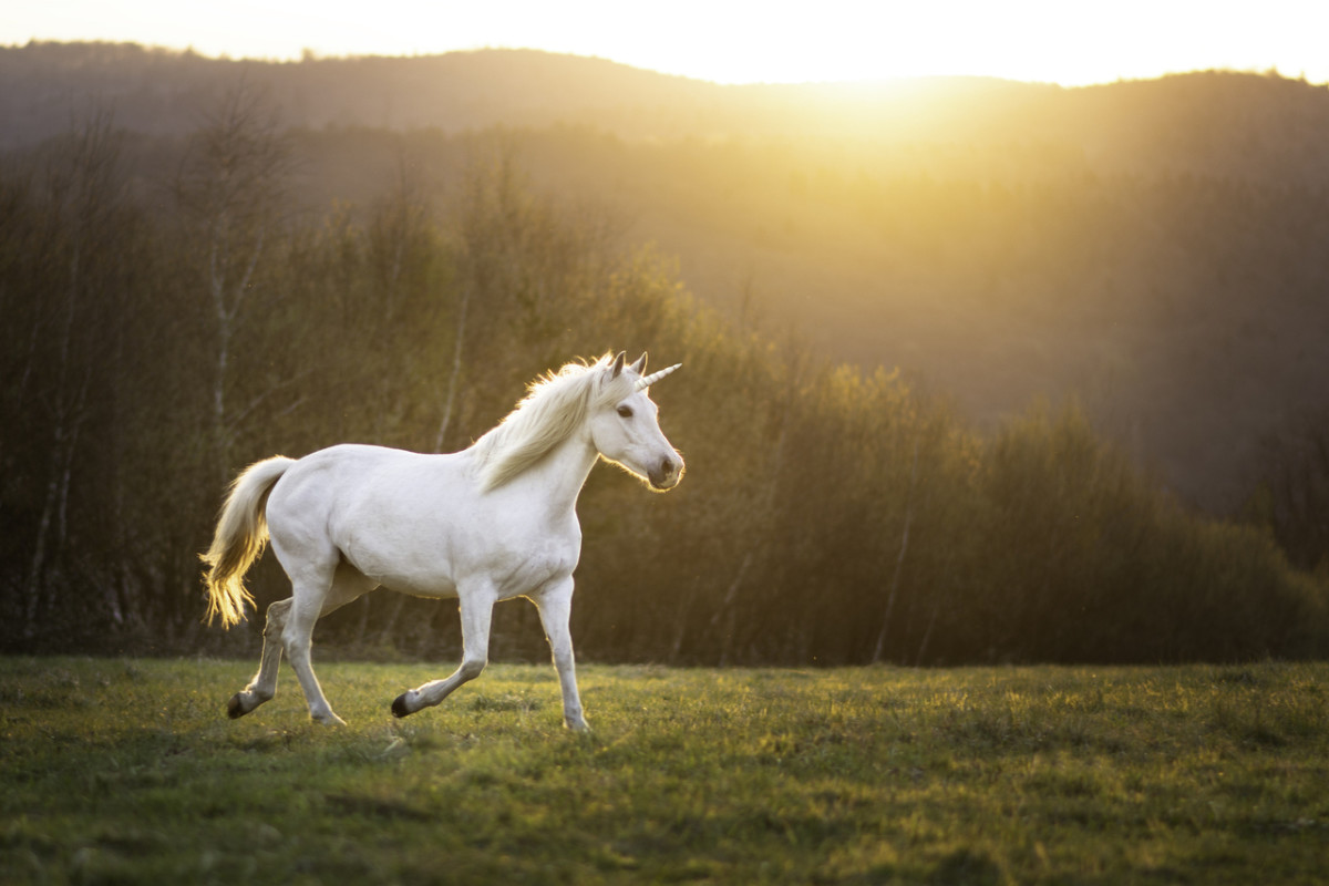 200+ unicorn names that are magical