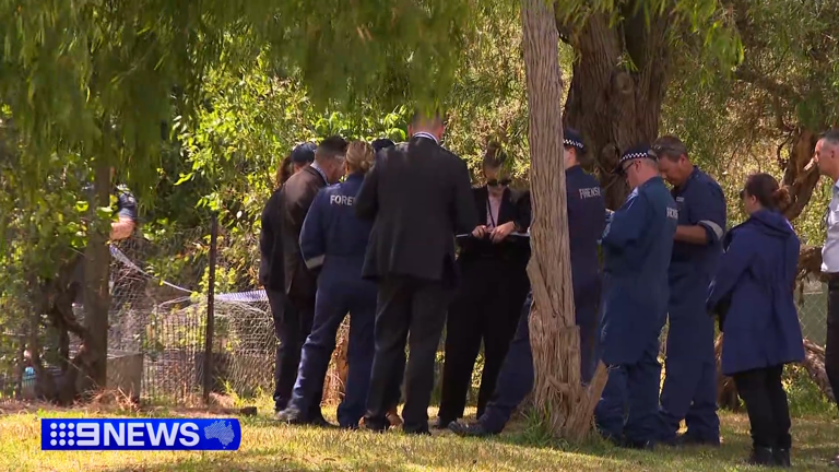 Homeowner's 'shock' after tradies unearth human bones in backyard