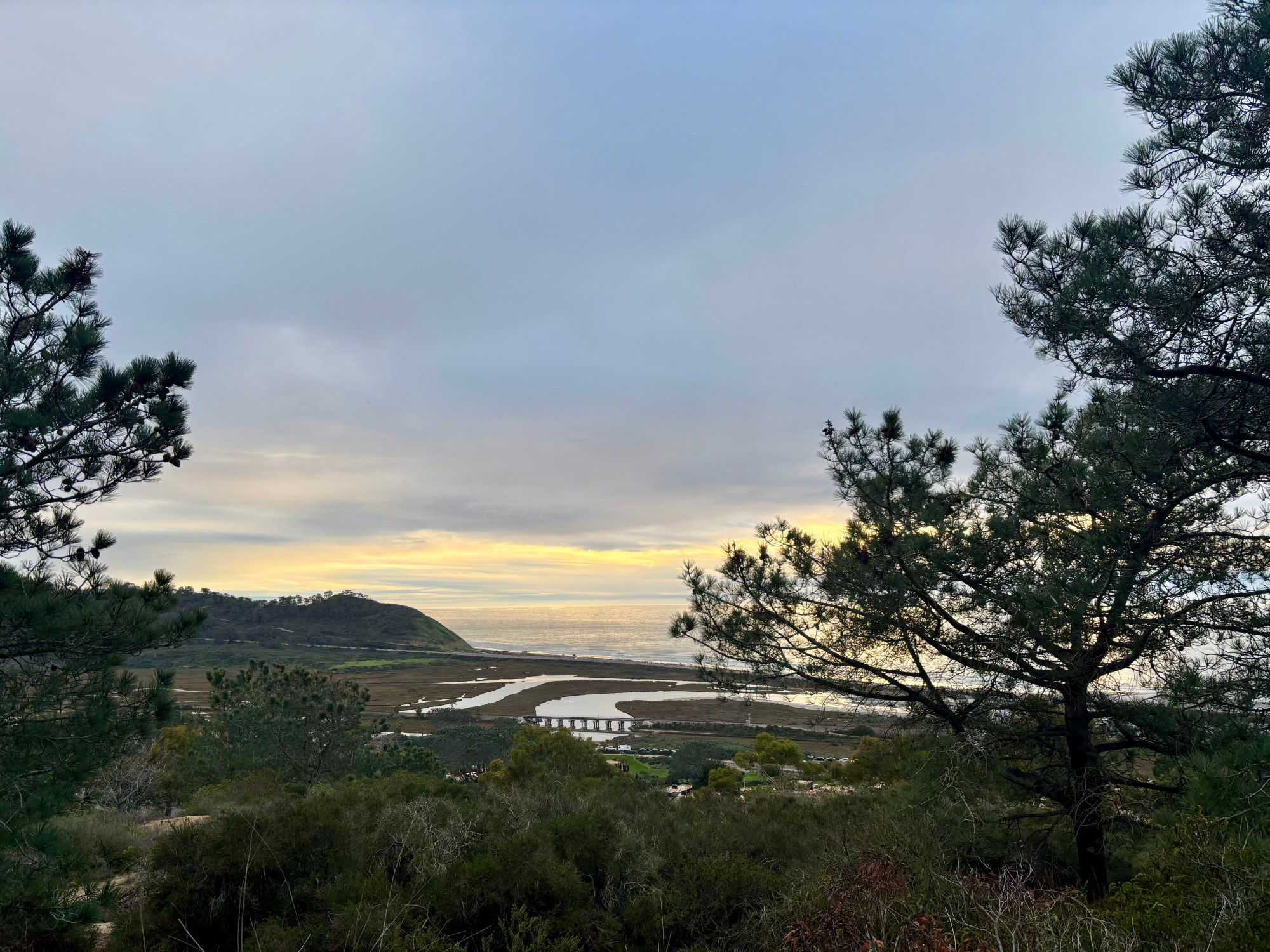 Maura Fox: Start the new year with a quiet exploration at the Torrey ...