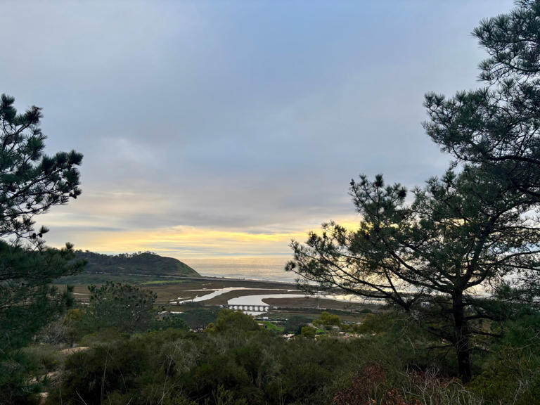 Maura Fox: Start the new year with a quiet exploration at the Torrey ...