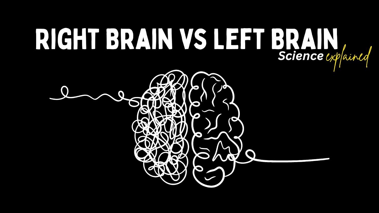 The truth about right brain vs left brain thinking