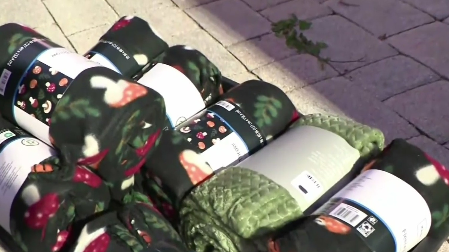 Cold weather shelter opening in Broward as South Florida braces for ...