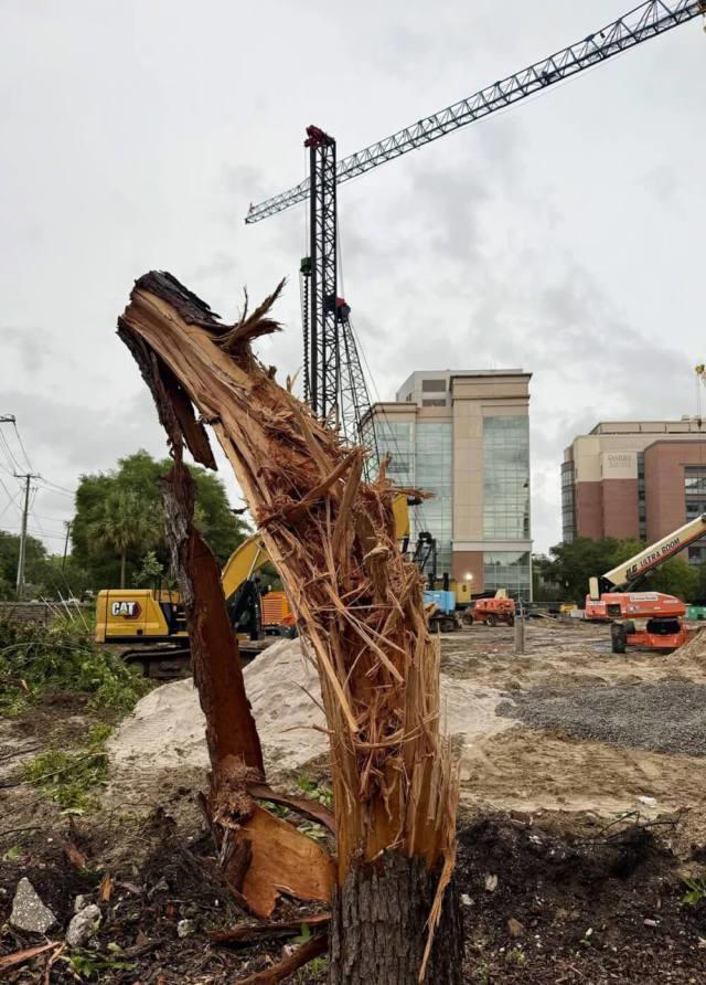 Passerby sparks outrage with photo of upsetting scene at construction ...