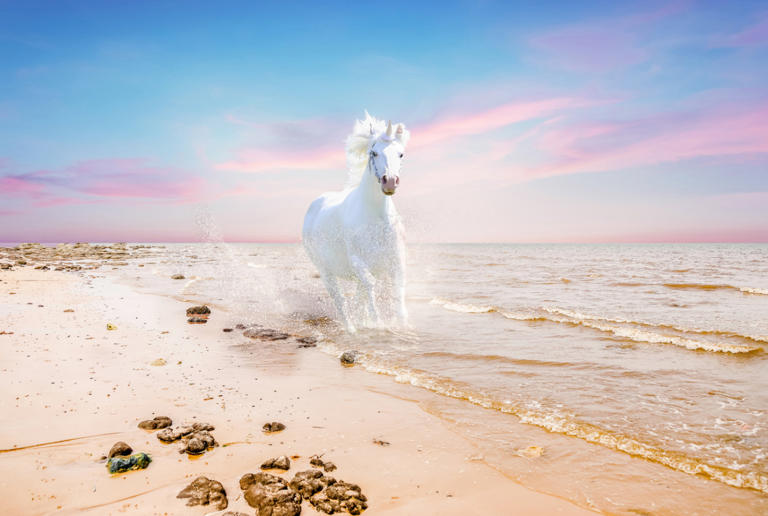 200+ unicorn names that are magical