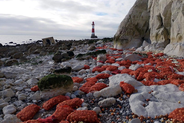 Sacks of onions wash up at East Sussex beauty spots — efforts ongoing ...