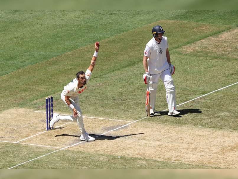 Australia's Mitchell Starc bags ICC Men's Player of the Month award for ...