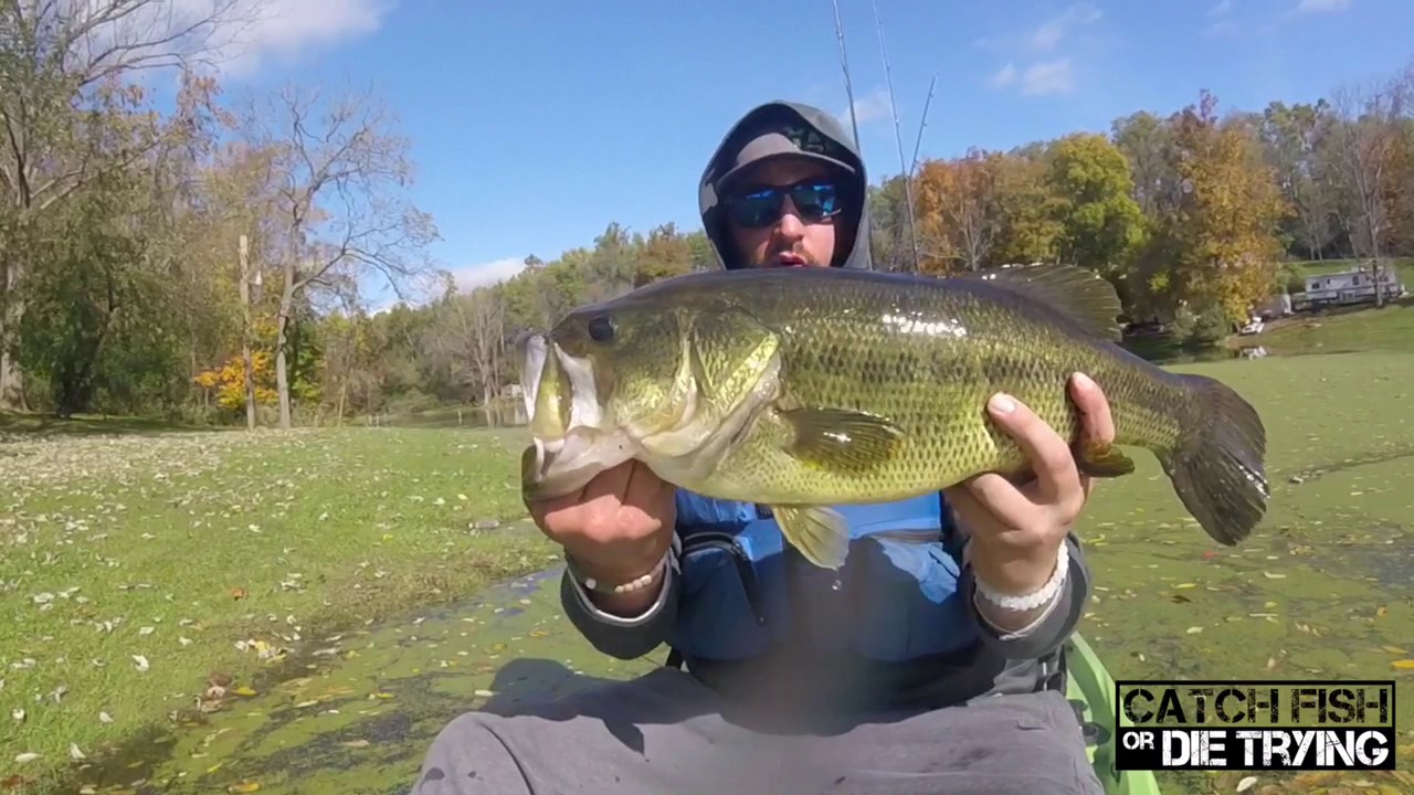 Giant bass caught from kayak