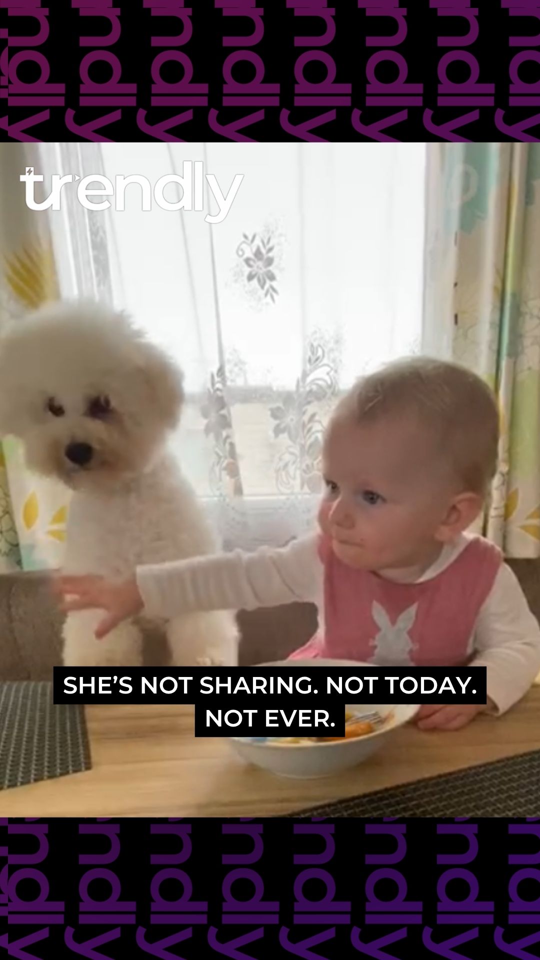 Little girl fiercely guards her meal when dog tries to sneak a bite
