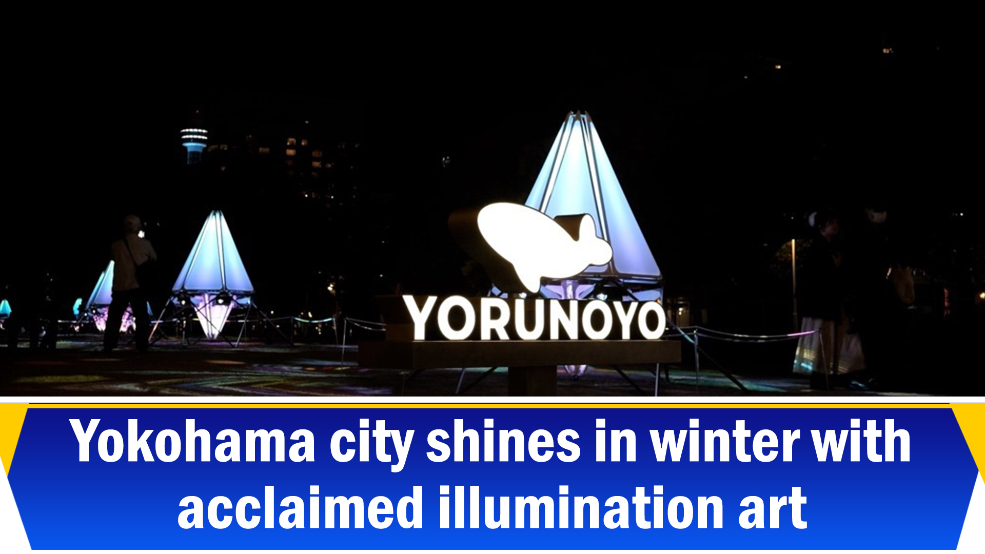 Yokohama city shines in winter with acclaimed illumination art