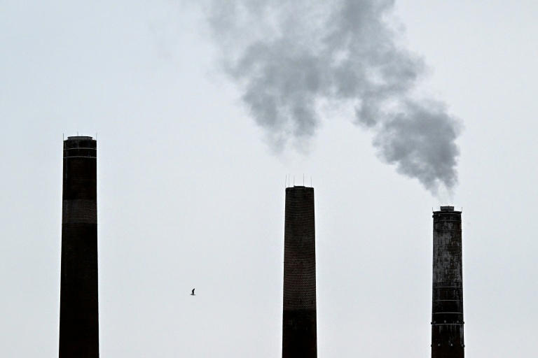 German economy returns to growth, but headwinds fierce