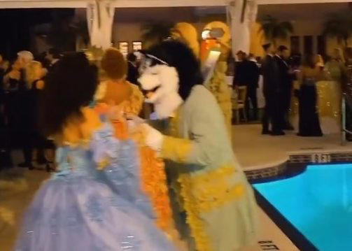 Furry frenzy: Mar-a-Lago hosts Hero Dog Awards Gala