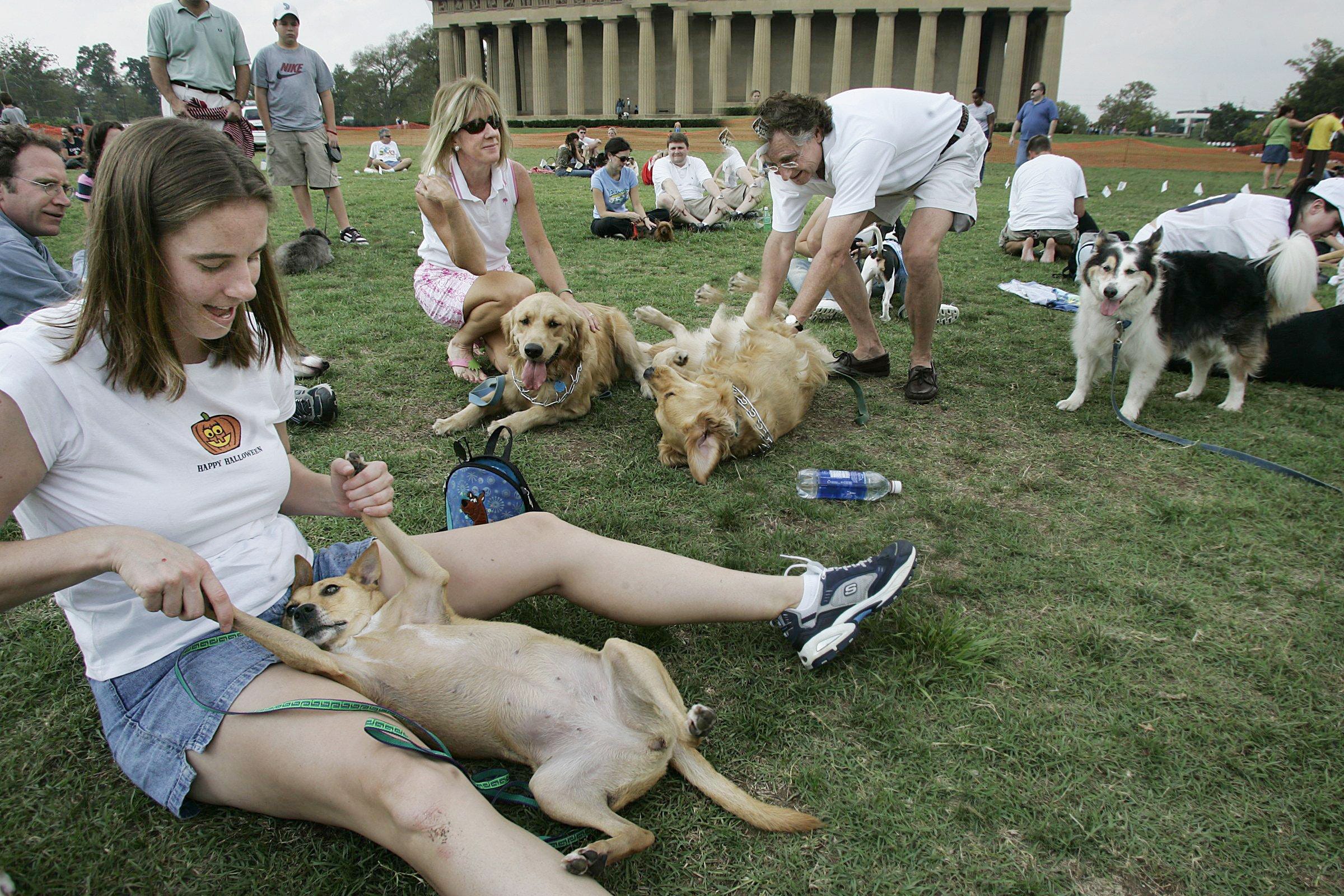 Which Tennessee city has best dog parks? What this ranking said