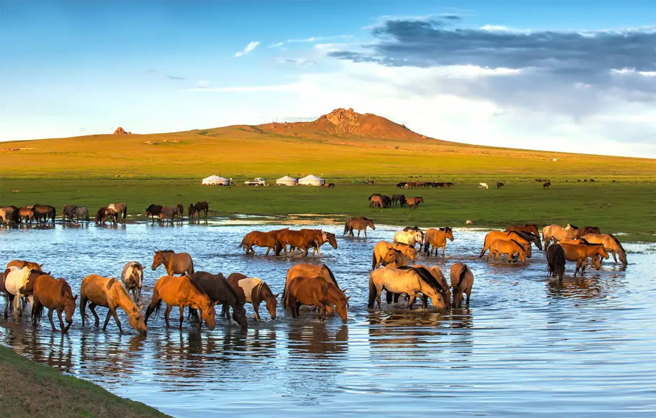 Bogd Khan Uul, uma das reservas naturais mais antigas do mundo