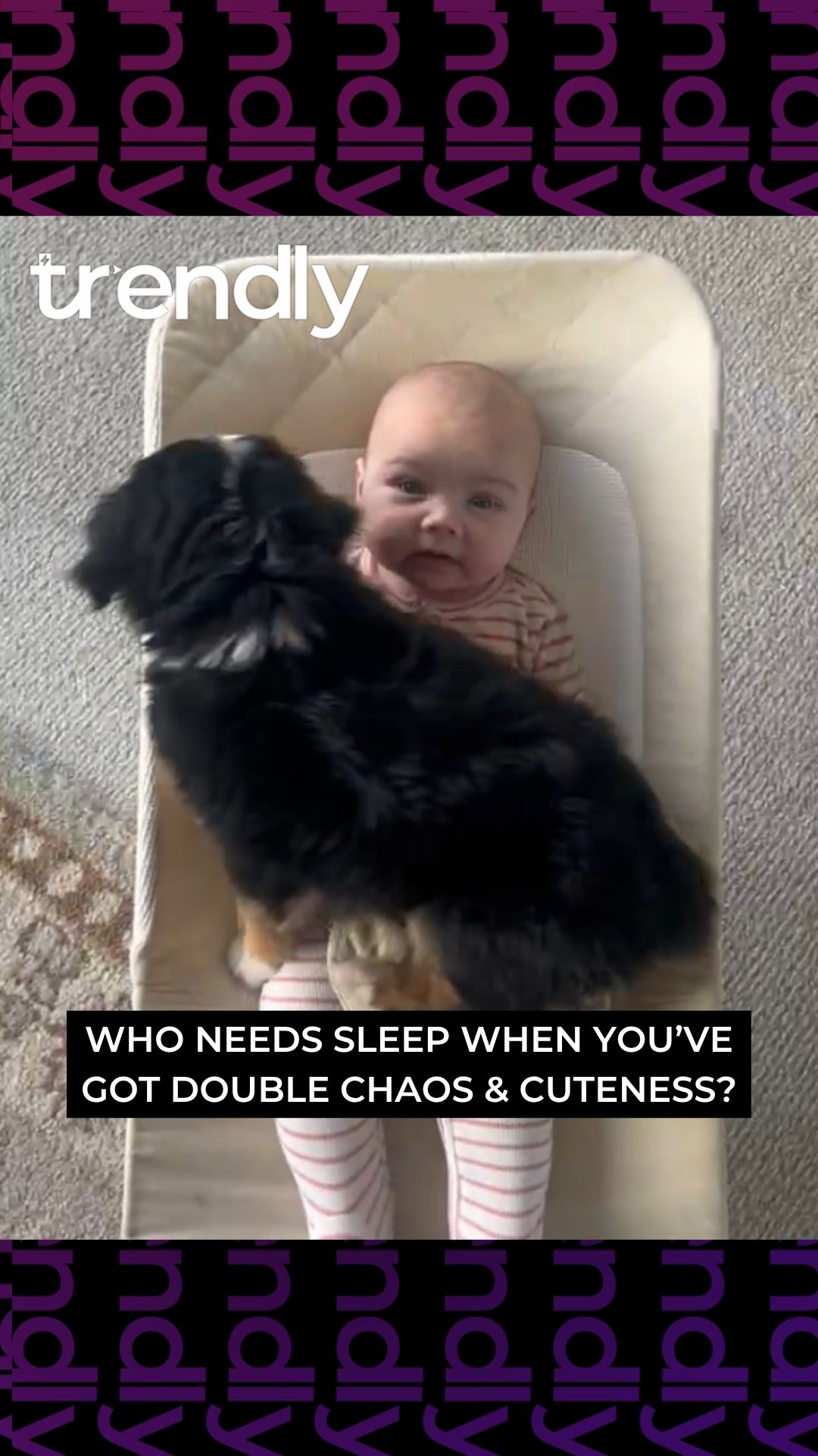 New puppy settles in fast by bonding with owner’s newborn baby
