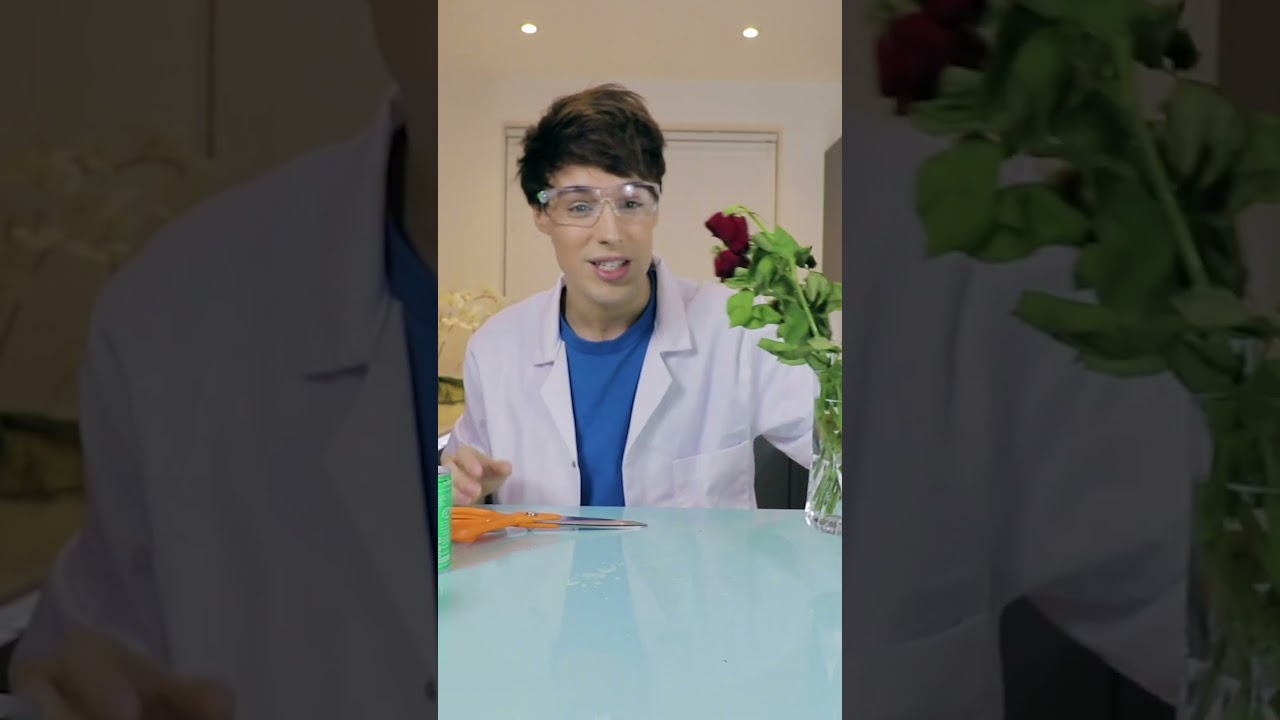 Why you should add Sprite to your flowers