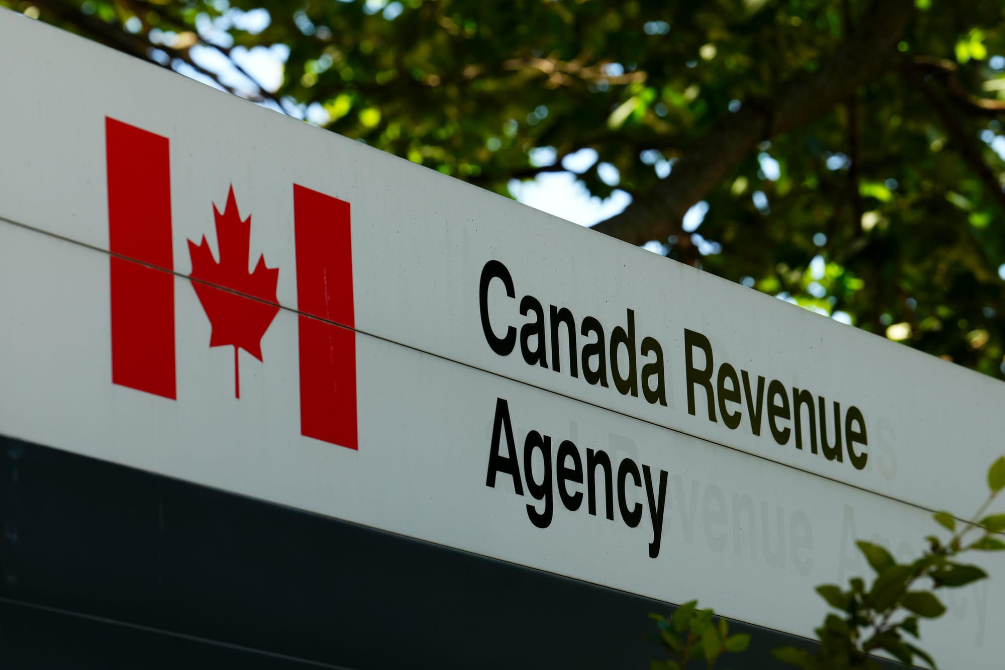 Questionable $4.8M donation at centre of Vancouver charity’s revocation