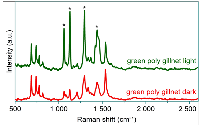 Rapid identification of fishing gear polymers using Raman spectroscopy