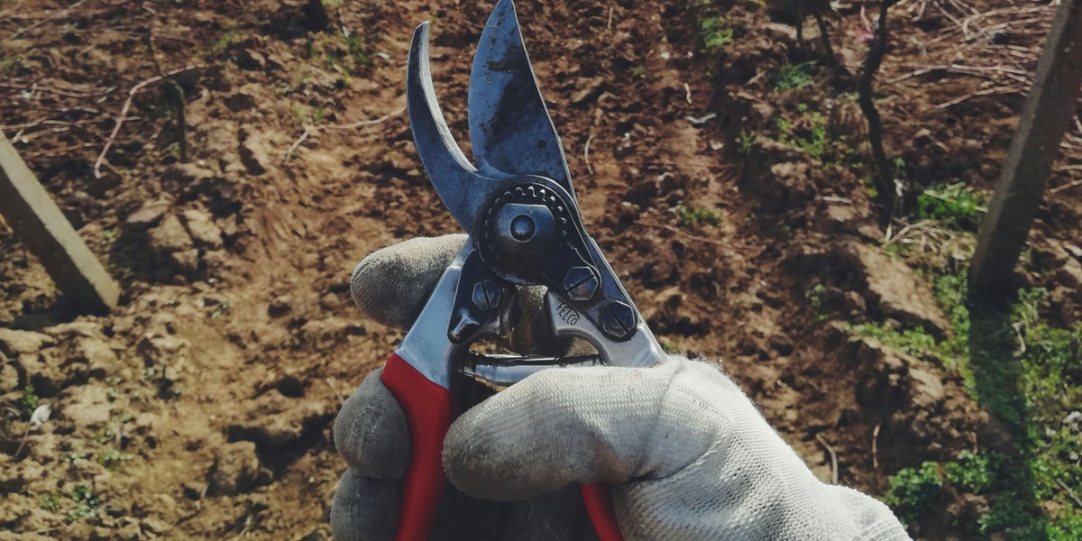 It's time to prep your garden for spring in 5 simple steps