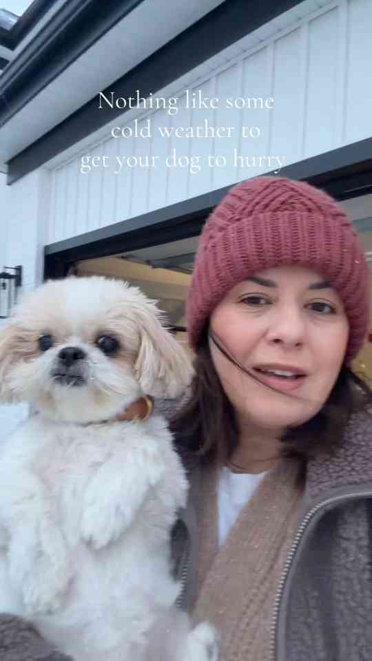 A typical morning with Stella the dog