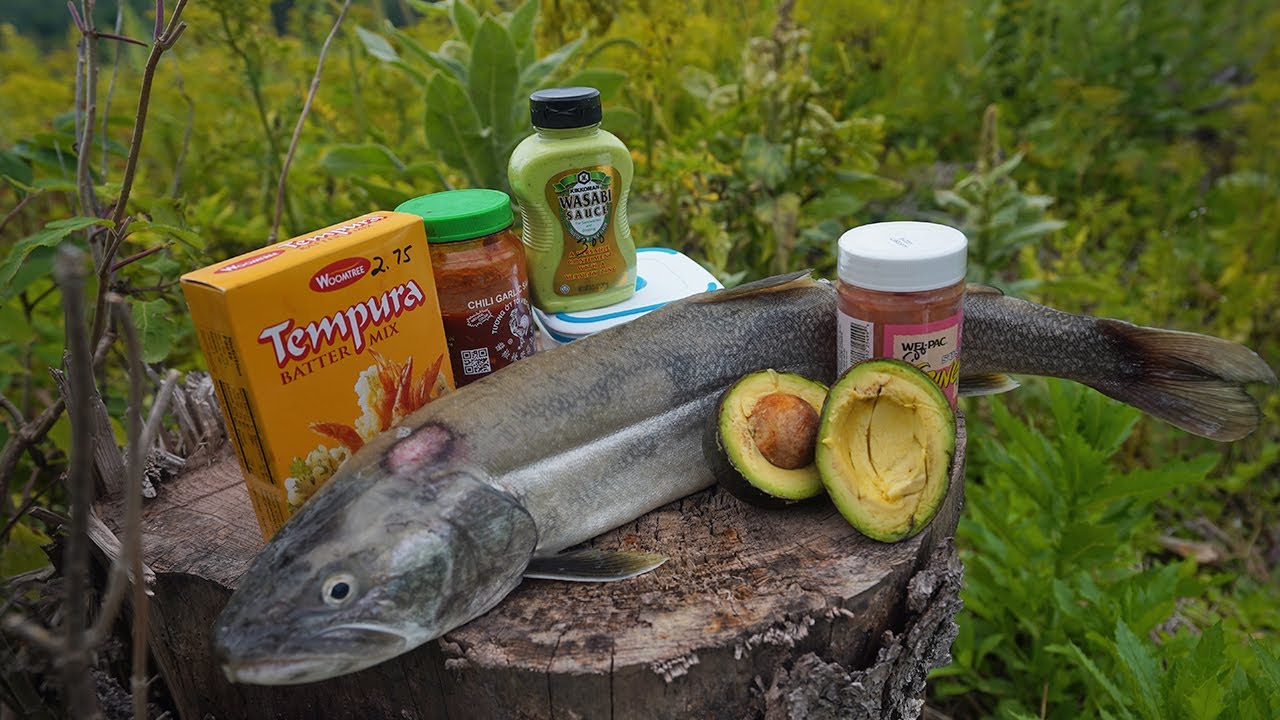 Catch and cook tempura fried lake trout (wasabi, ginger, and avocado)