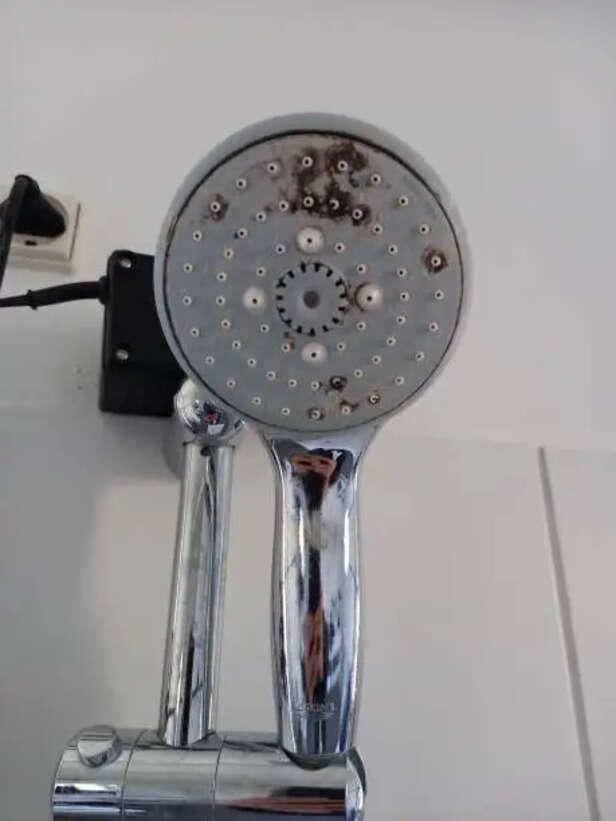 Study shows millions of bacteria may be living in your showerhead