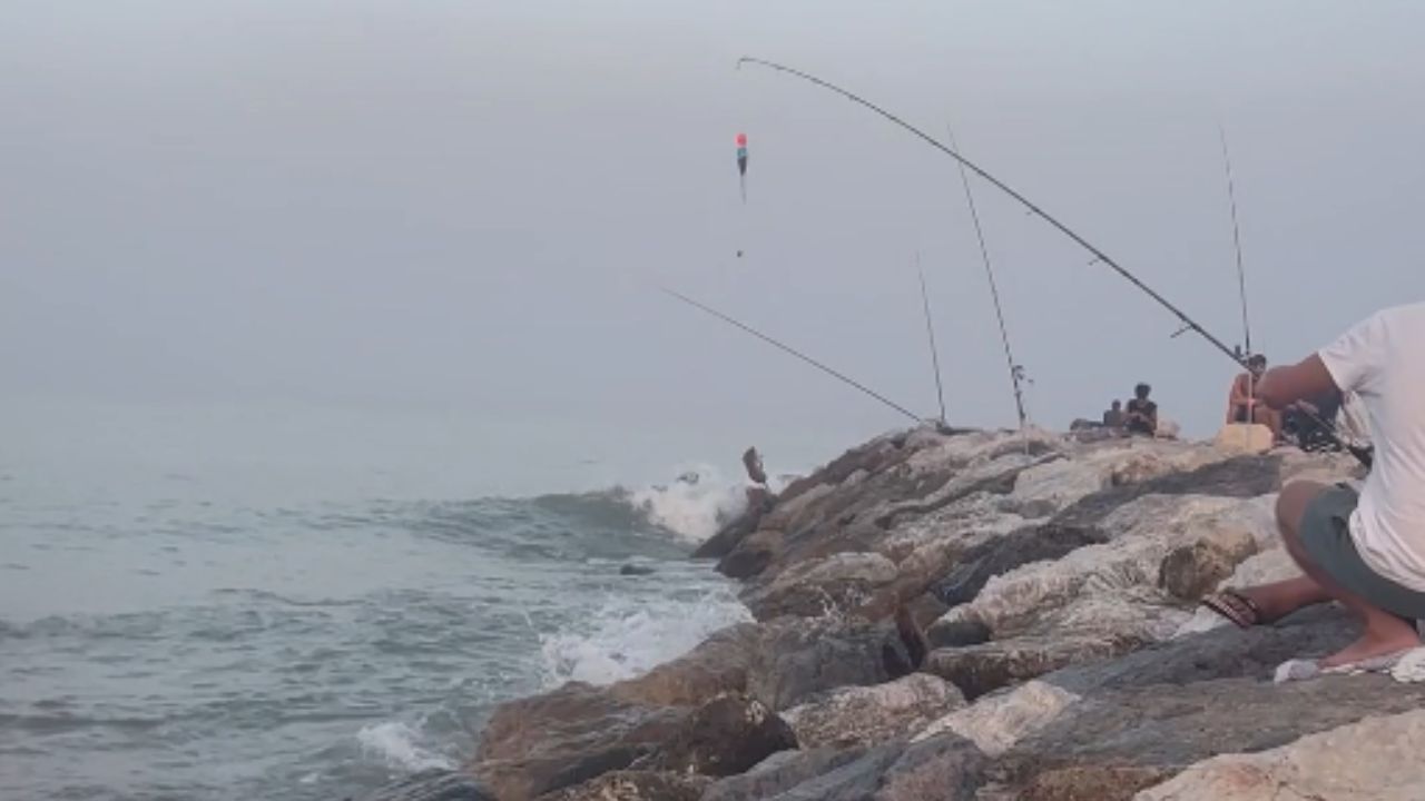 Fishing trip on Malaga breakwater descends into chaos after rat is hooked