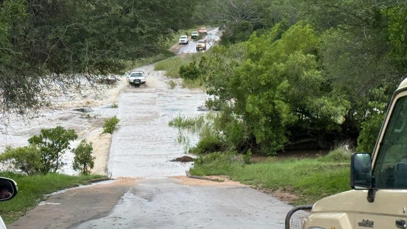 Heavy rains prompt safety shutdown at Kruger Park for day visitors