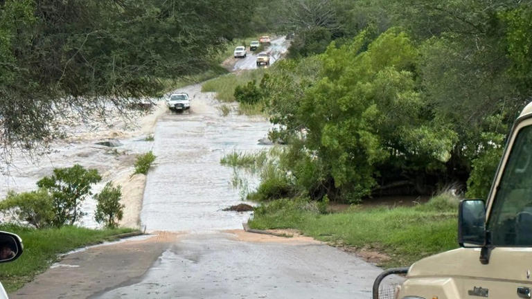Heavy rains prompt safety shutdown at Kruger Park for day visitors