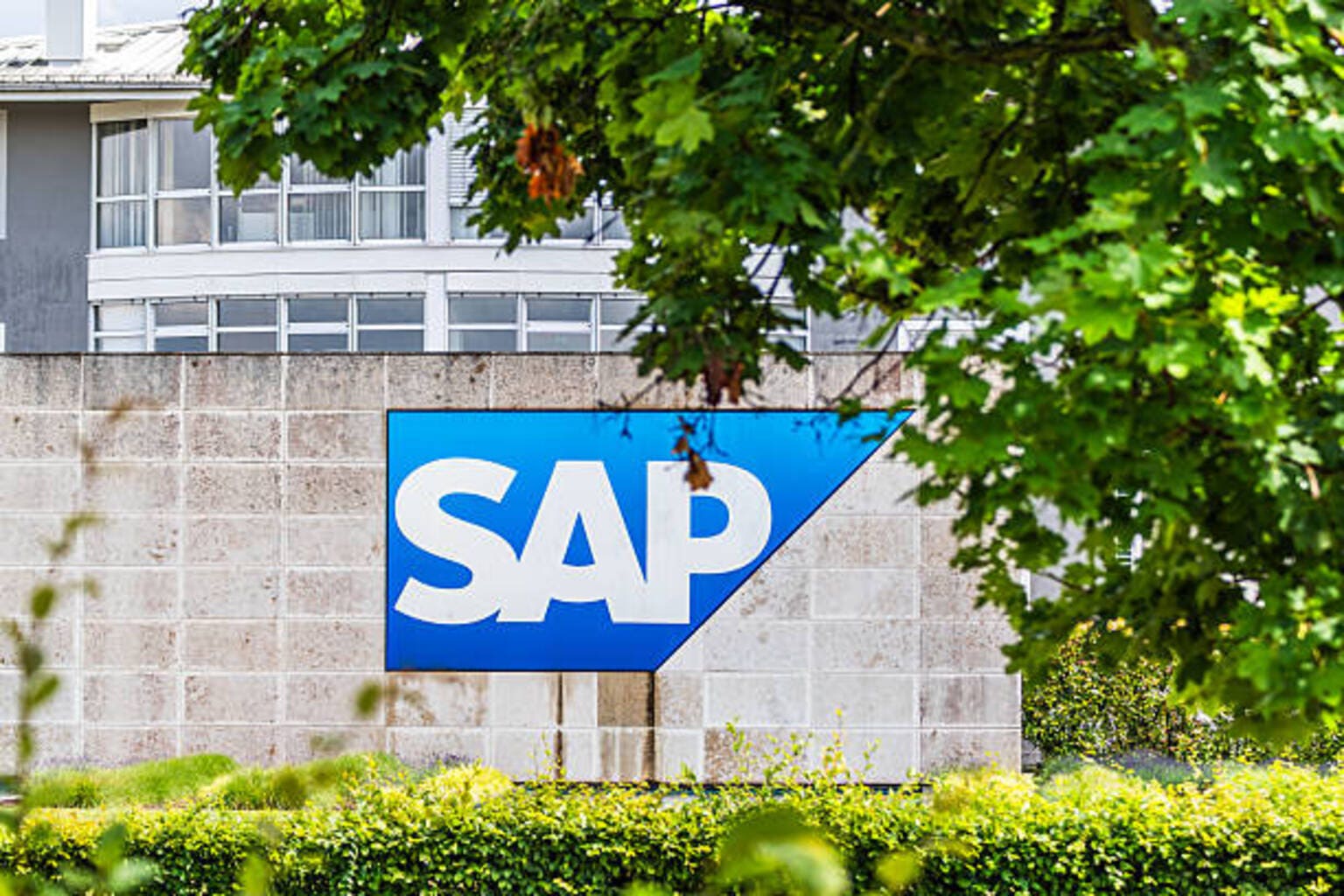 SAP signs deal with Syngenta to boost AI in agriculture