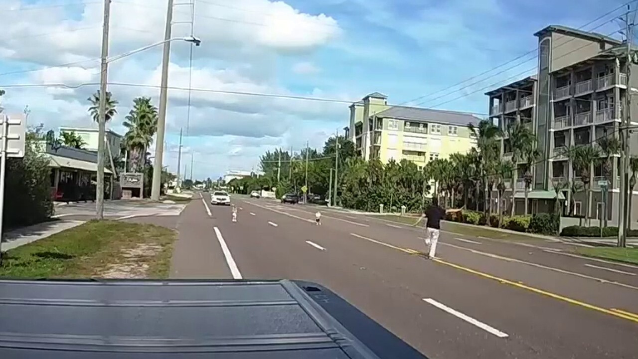 Driver stops to save two toddlers wandering in middle of busy Florida road
