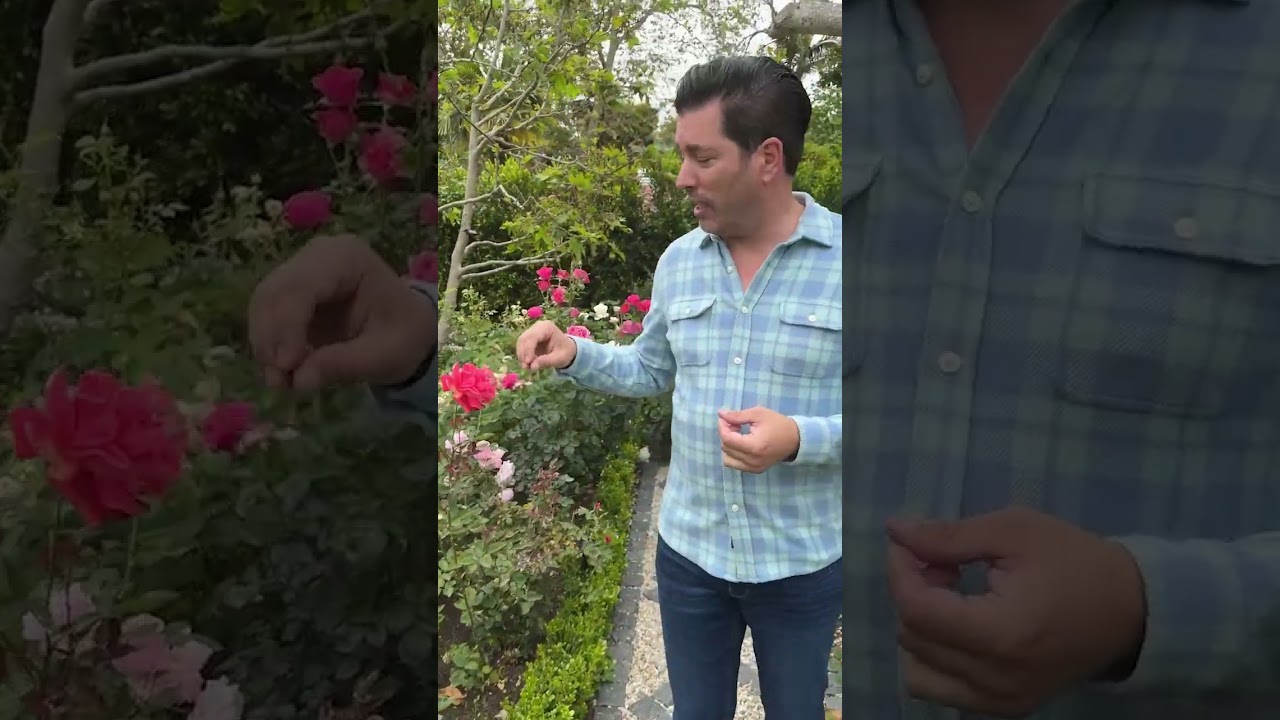 I wish social media had a scratch and sniff option