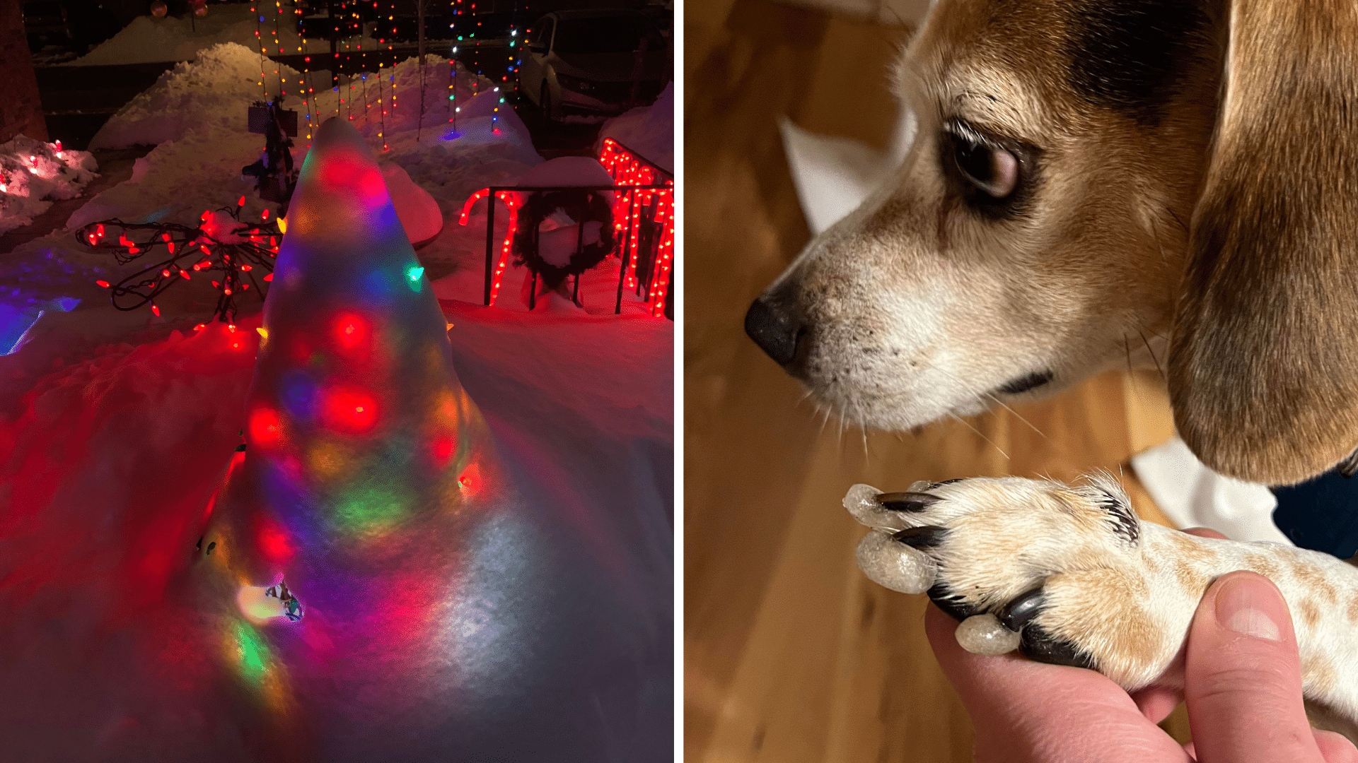 20 photos that made us say wow out loud