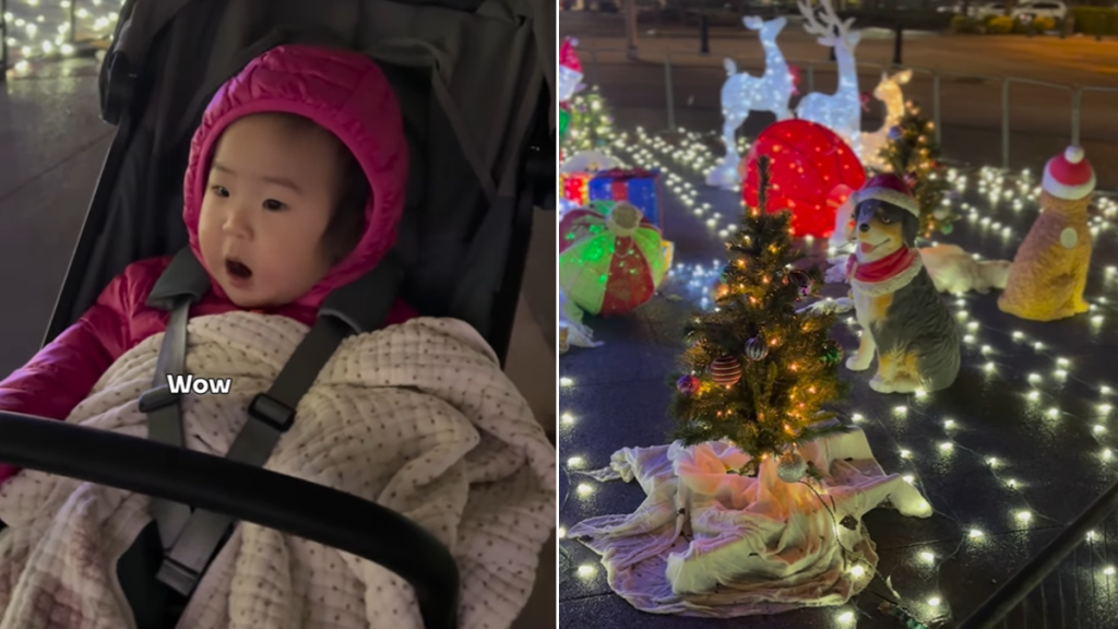 Dad's simple hack has baby impressed with everything in funny video