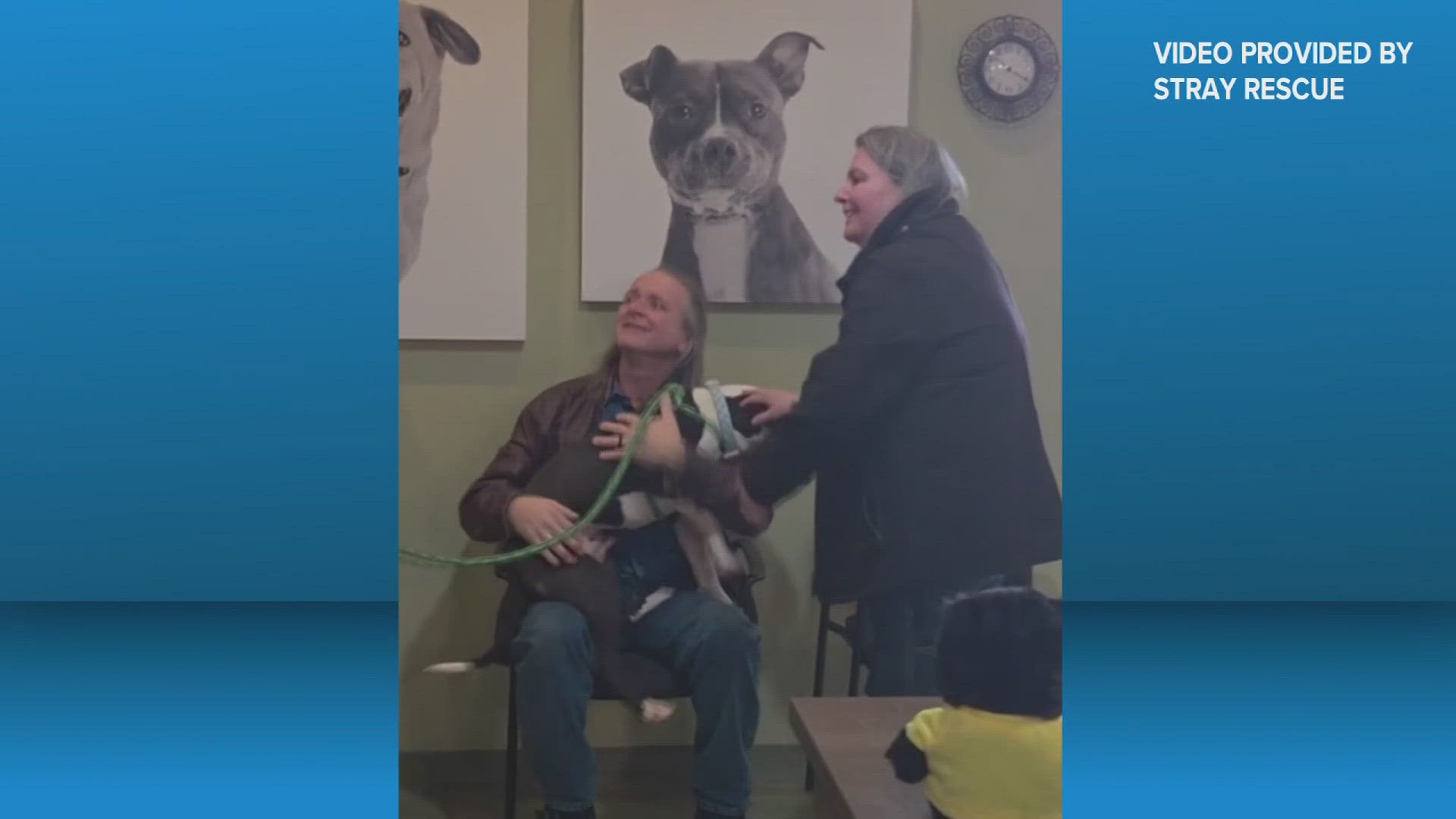 Doh shot over the holidays finds new family