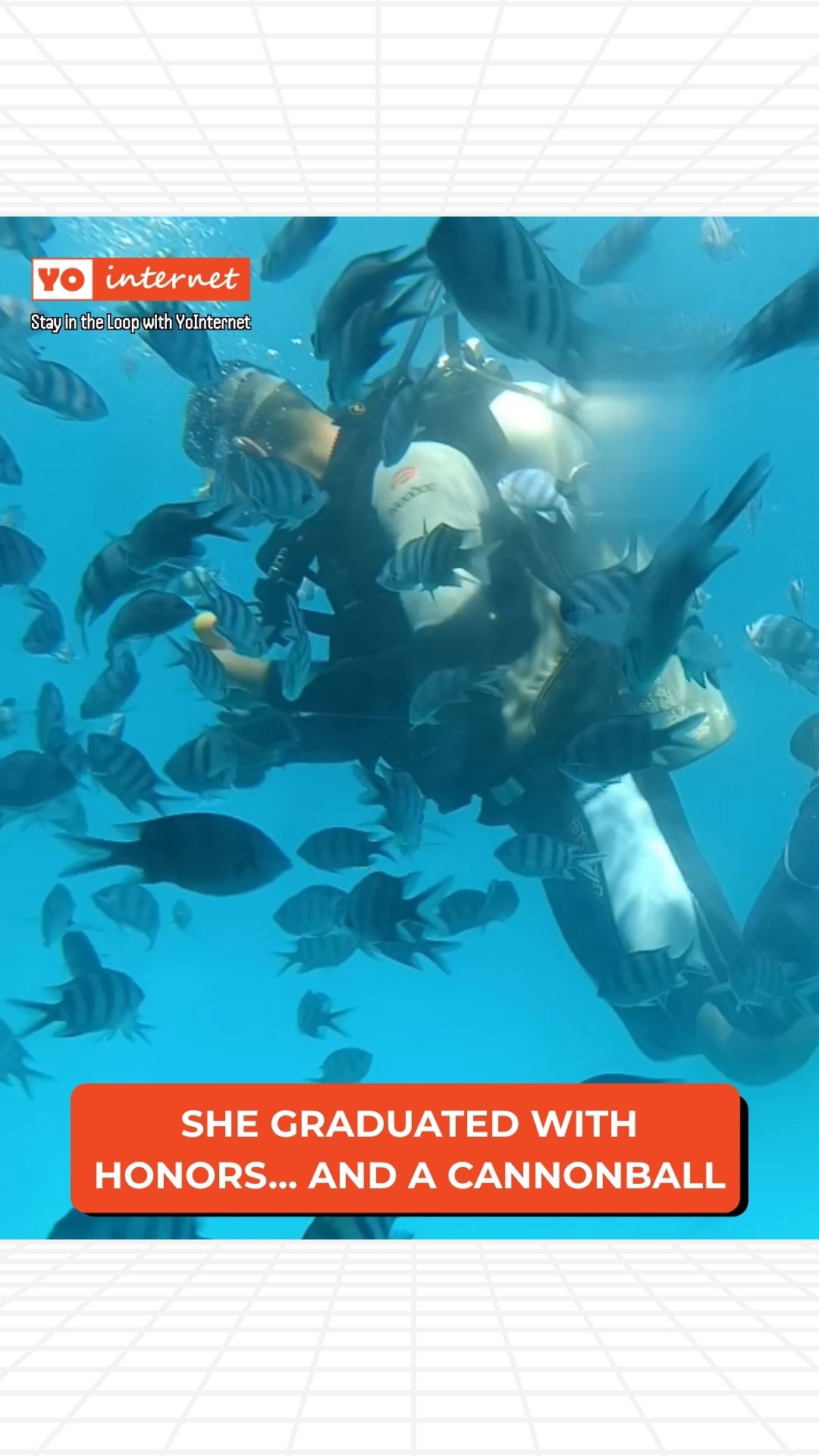Diver resorts to using his flipper to chase away persistent fish